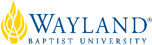Wayland Baptist University Enterprise Video Platform